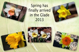 Spring Is Busting Out All Over | Senior Moments