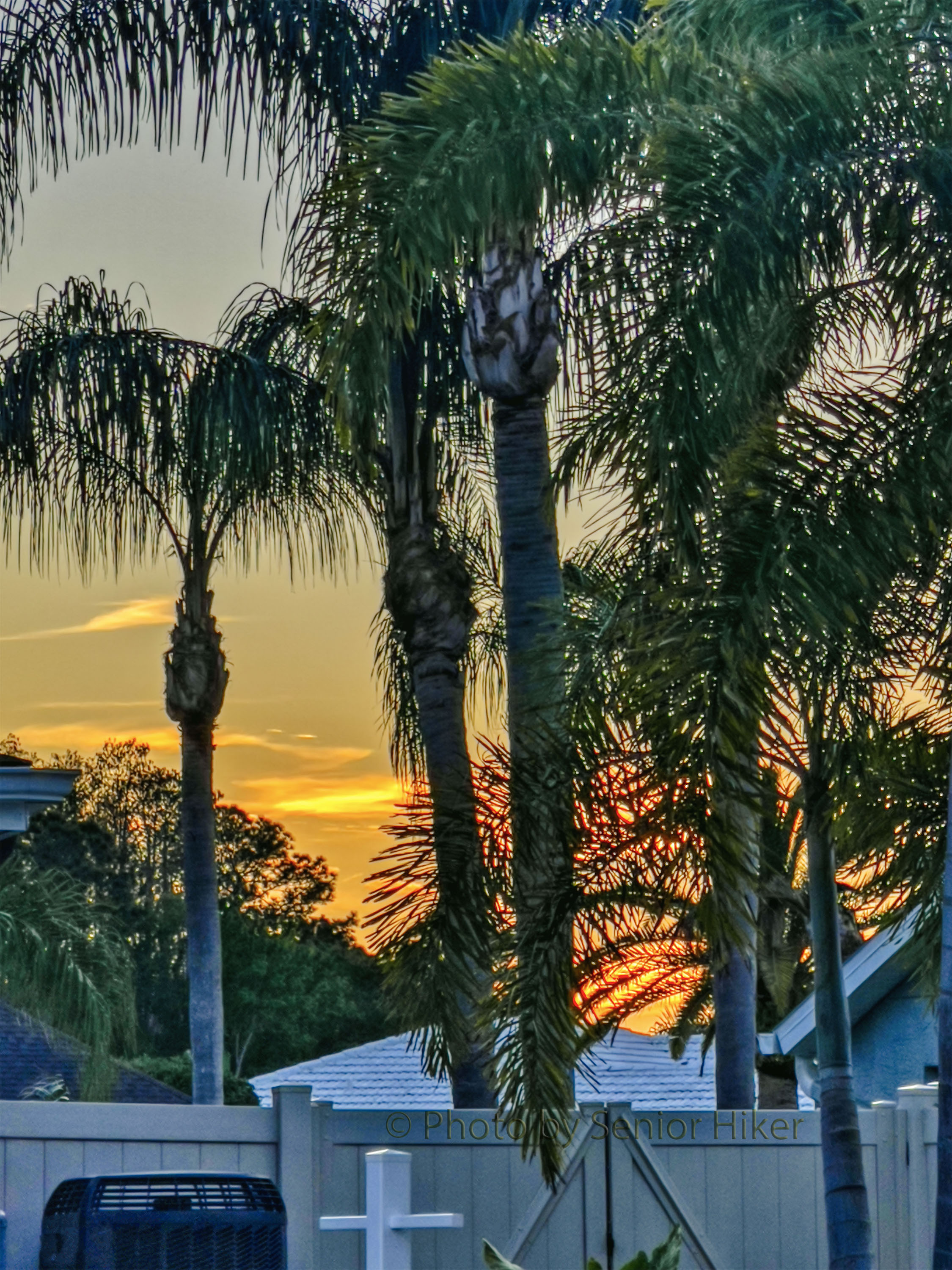 An Evening Sky | Senior Moments